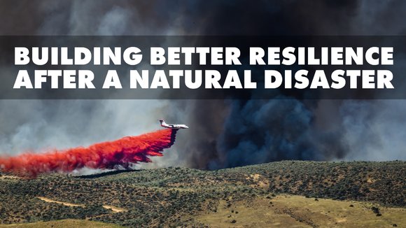 Building Better Resilience After a Natural Disaster - Insurance Journal TV