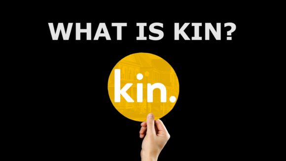 What is Kin? - Insurance Journal TV